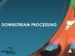PPT - Downstream Processing in Biopharmaceutical Manufacturing ...