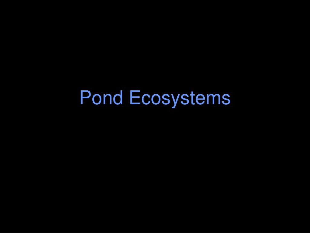PPT - Pond Ecosystems PowerPoint Presentation, free download - ID:5422631