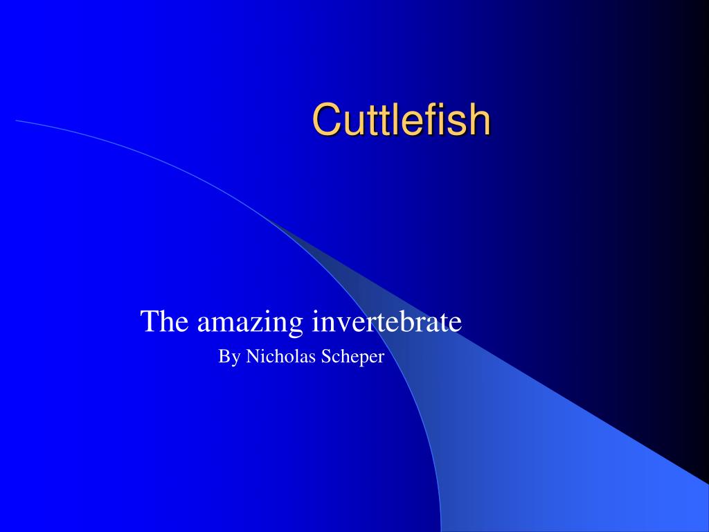 PPT - Cuttlefish PowerPoint Presentation, free download - ID:5423396