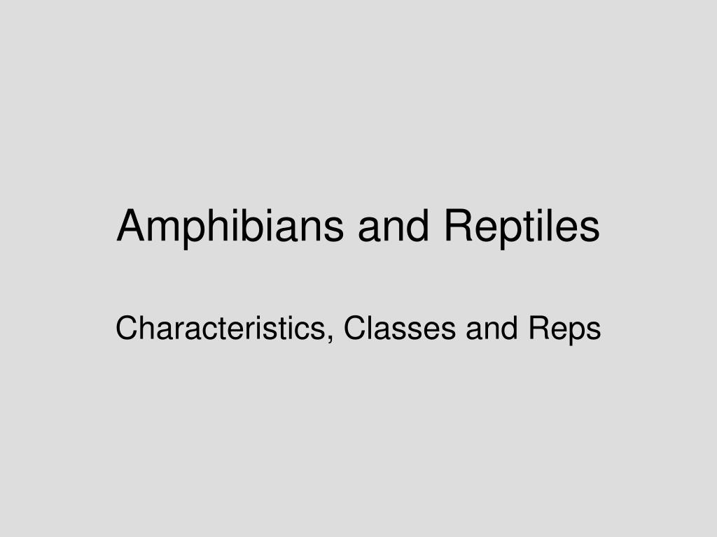 PPT - Amphibians and Reptiles PowerPoint Presentation, free download ...