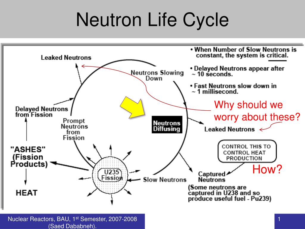 PPT - Neutron Life Cycle PowerPoint Presentation, free download - ID ...