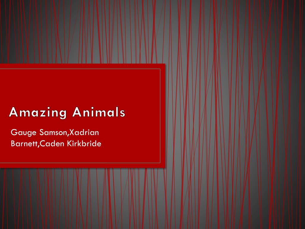 PPT - Amazing Animals PowerPoint Presentation, free download - ID:5427416