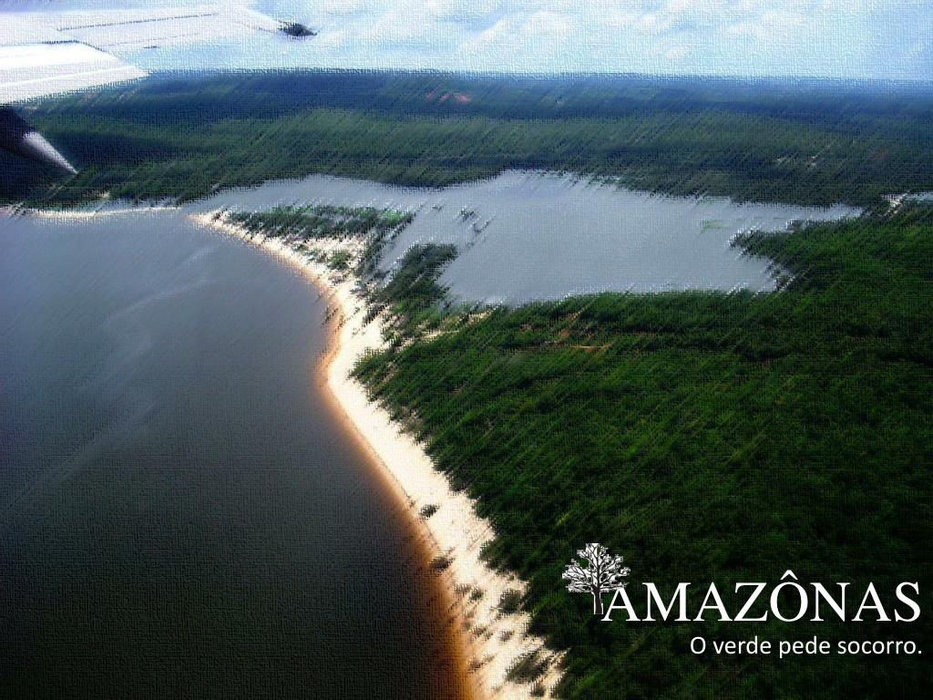 PPT - AMAZÔNAS PowerPoint Presentation, free download - ID:5427969