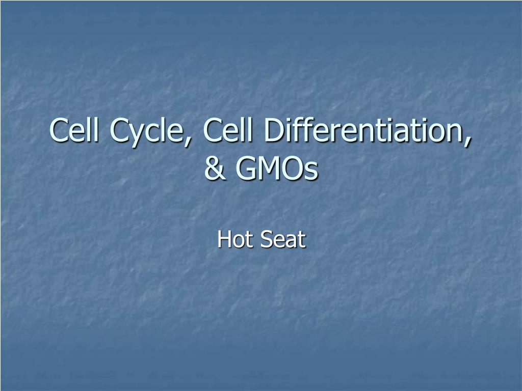 PPT - Cell Cycle, Cell Differentiation, & GMOs PowerPoint Presentation ...