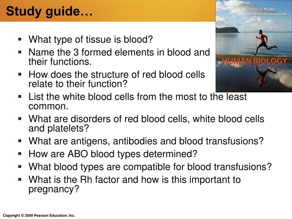 PPT - Study guide… PowerPoint Presentation, free download - ID:5428241