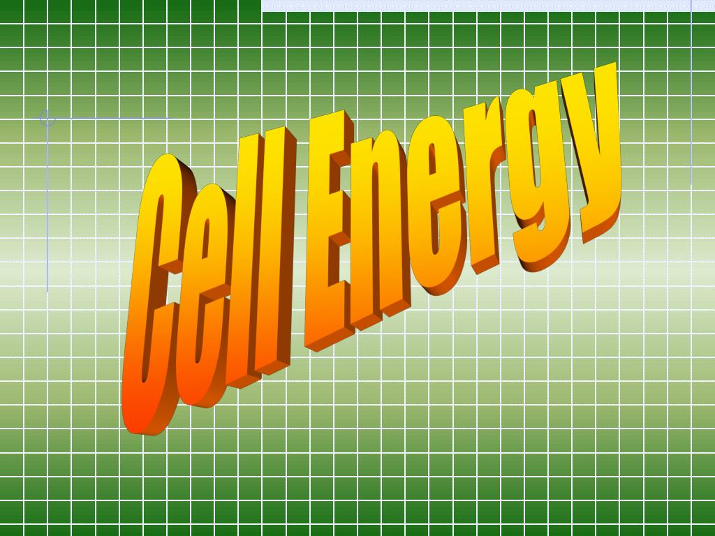 PPT - Cell Energy PowerPoint Presentation, free download - ID:5430632