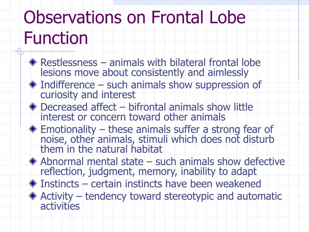 PPT - Observations on Frontal Lobe Function PowerPoint Presentation ...