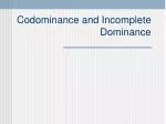 PPT - CODOMINANCE PowerPoint Presentation, free download - ID:2267514
