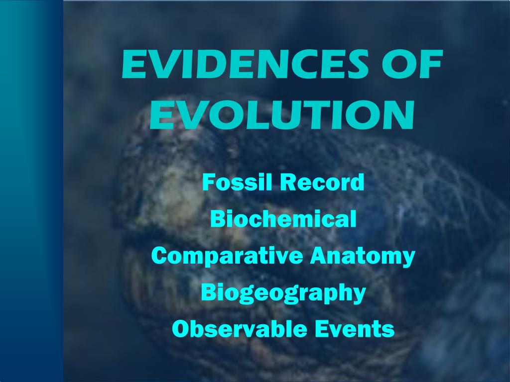 PPT - EVIDENCES OF EVOLUTION PowerPoint Presentation, free download ...