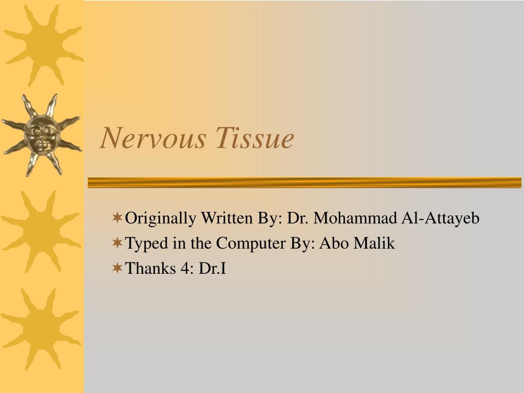 PPT - Nervous Tissue PowerPoint Presentation, free download - ID:5435850