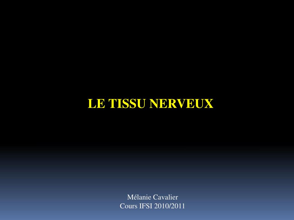 PPT - LE TISSU NERVEUX PowerPoint Presentation, free download - ID:5435951