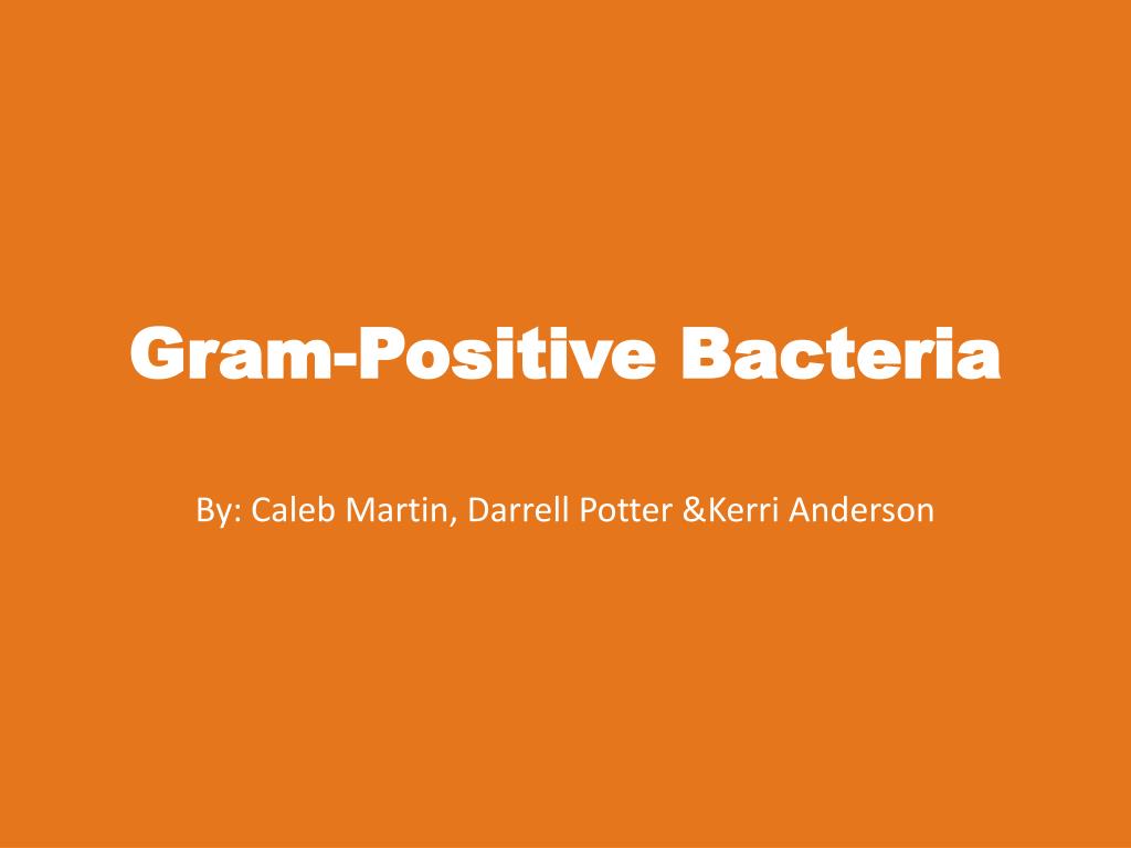 PPT - Gram-Positive Bacteria PowerPoint Presentation, free download ...