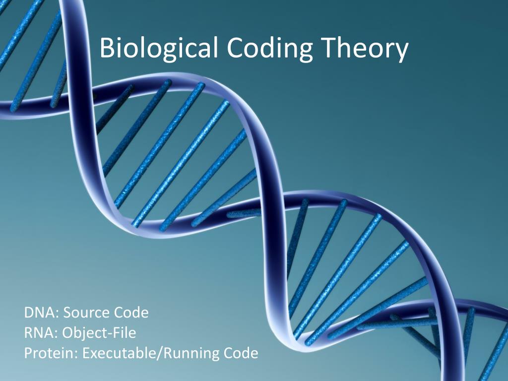 PPT - Biological Coding Theory PowerPoint Presentation, free download ...