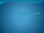 PPT - Heart Sounds PowerPoint Presentation, free download - ID:3035910