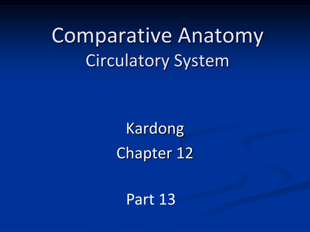 PPT - Comparative Anatomy Circulatory System PowerPoint Presentation ...