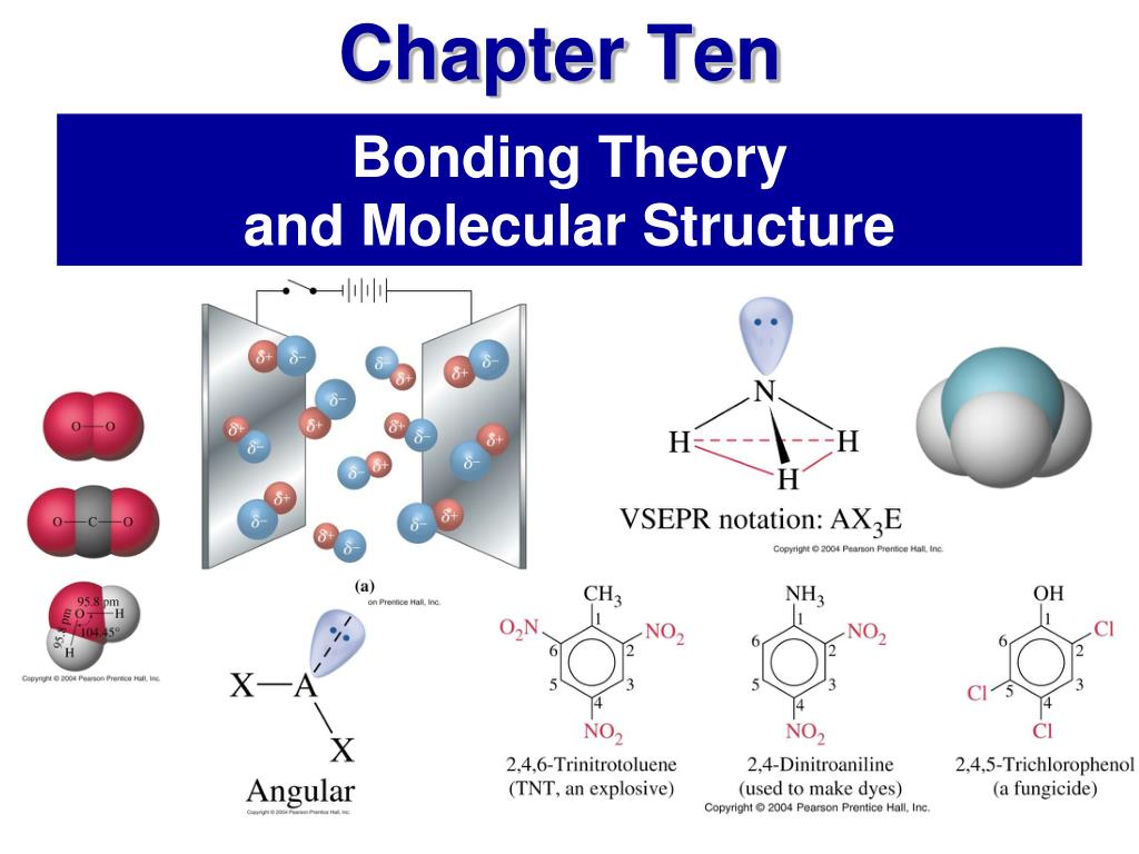 PPT - Bonding Theory and Molecular Structure PowerPoint Presentation ...