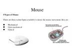 PPT - Scurfy Mouse (outside) PowerPoint Presentation, free download ...