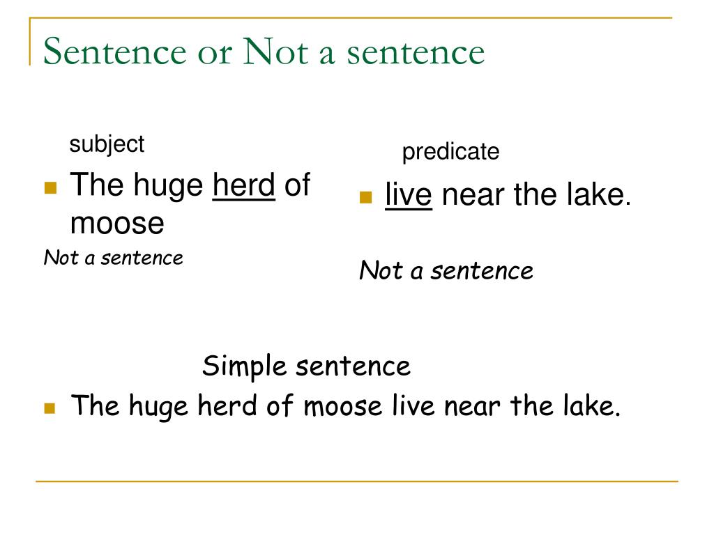 PPT - Sentence or Not a sentence PowerPoint Presentation, free download ...