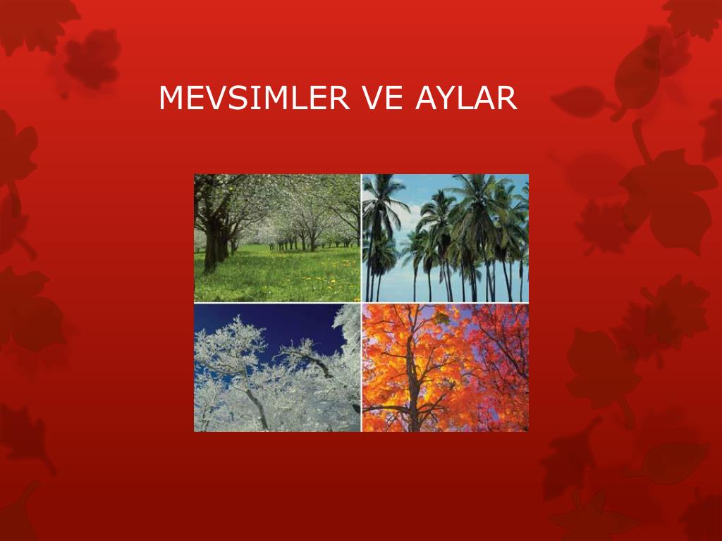 PPT - MEVSIMLER VE AYLAR PowerPoint Presentation, free download - ID ...