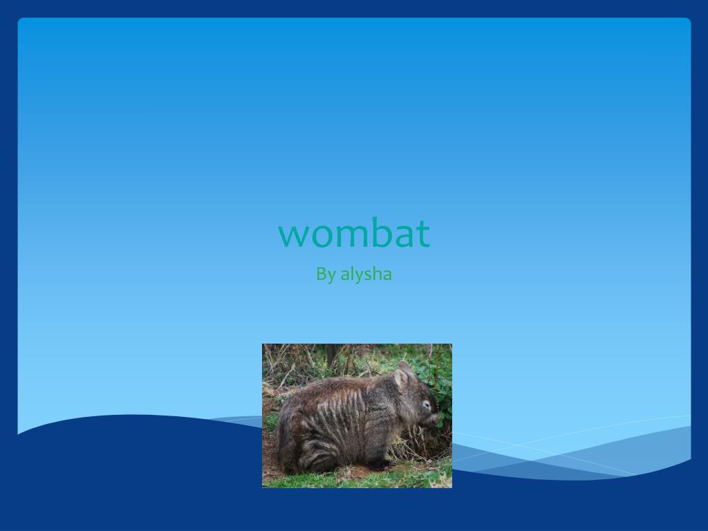 PPT - wombat PowerPoint Presentation, free download - ID:5449402