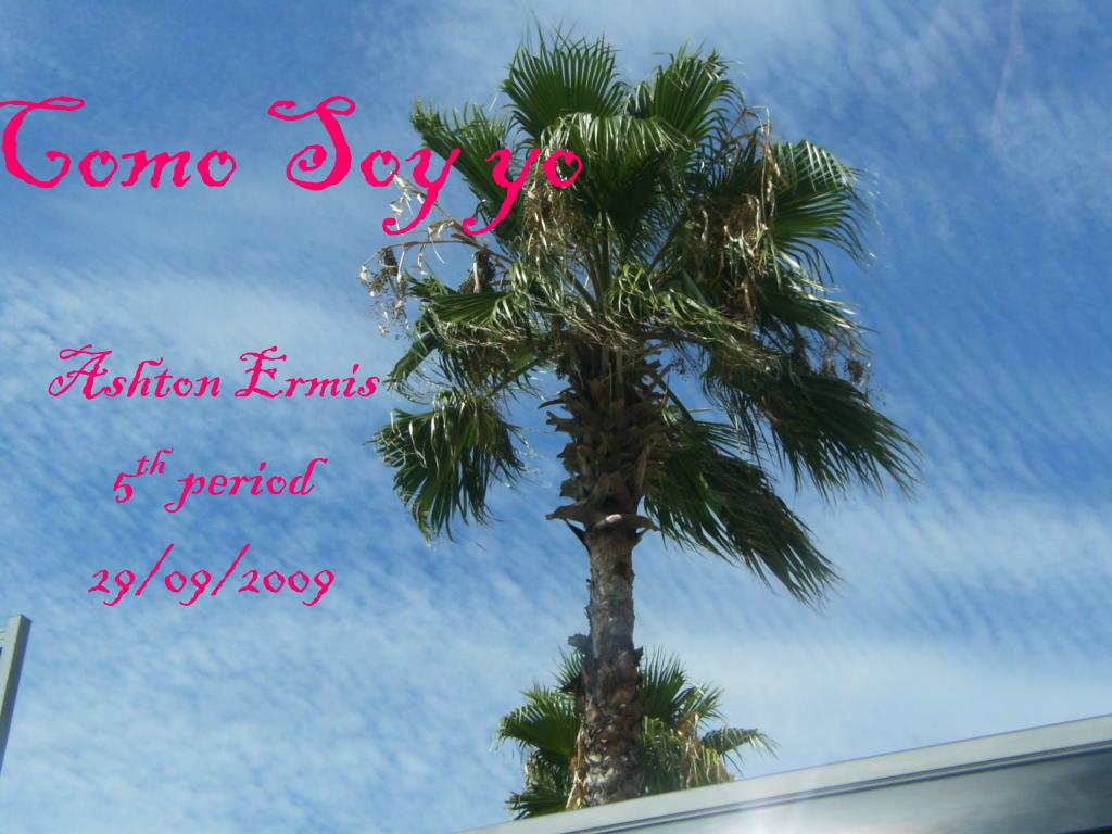 PPT - Como Soy yo PowerPoint Presentation, free download - ID:5450134