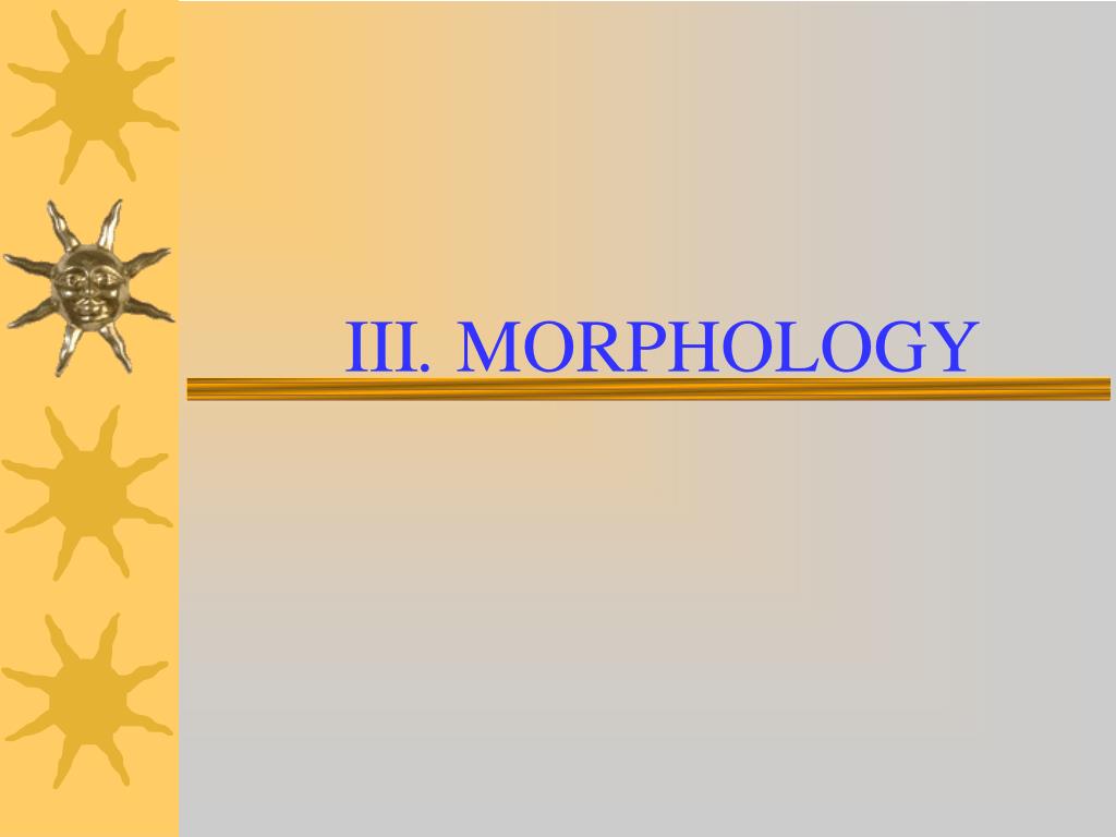 PPT - III . MORPHOLOGY PowerPoint Presentation, free download - ID:5450777