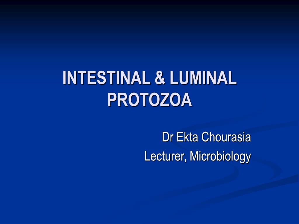 PPT - INTESTINAL & LUMINAL PROTOZOA PowerPoint Presentation, free ...
