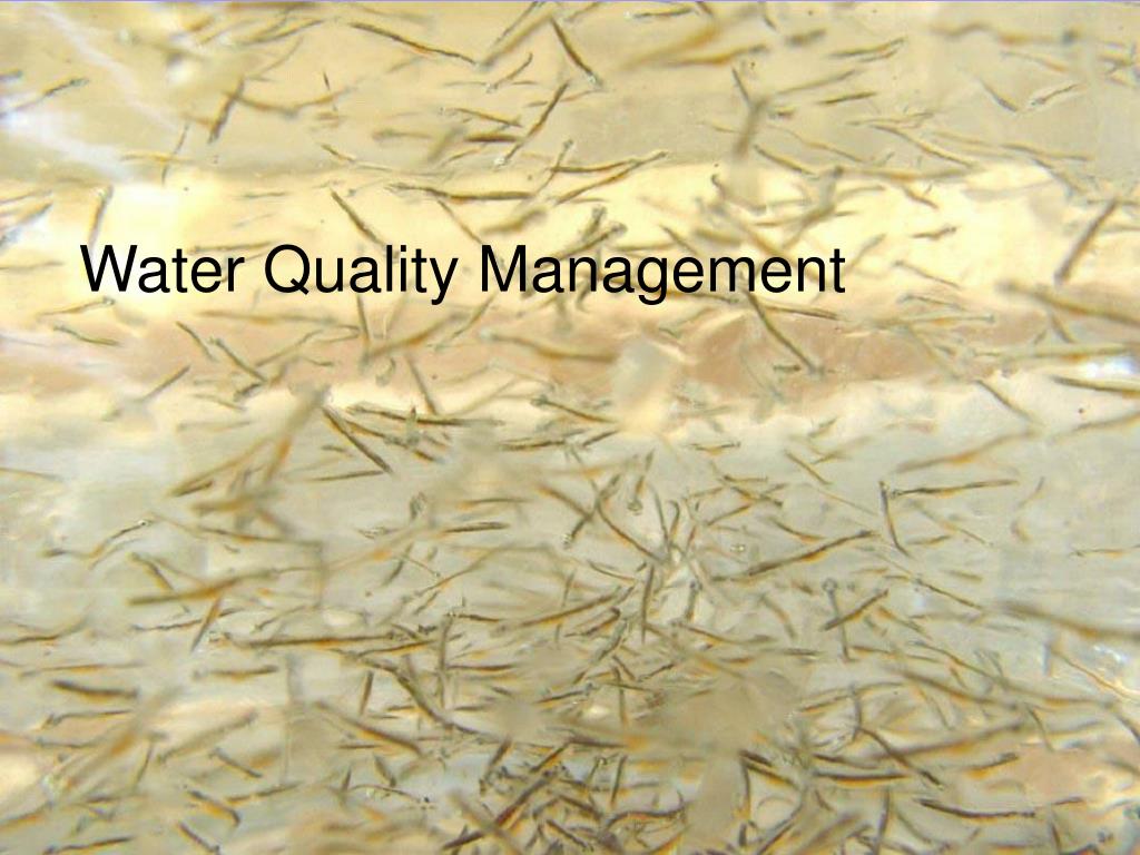 PPT - Water Quality Management PowerPoint Presentation, free download ...