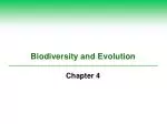 PPT - Biodiversity and Evolution PowerPoint Presentation, free download ...