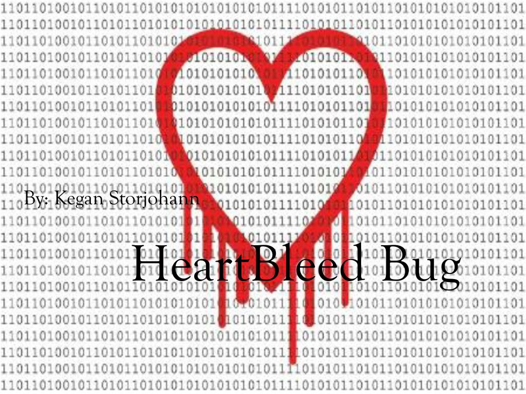 PPT - HeartBleed Bug PowerPoint Presentation, free download - ID:5457782