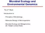 PPT - Oral Microbial Ecology PowerPoint Presentation, free download ...