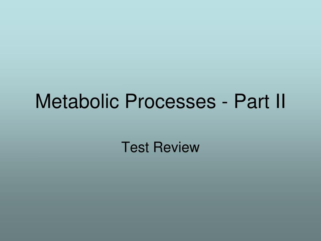 PPT - Metabolic Processes - Part II PowerPoint Presentation, free ...
