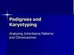 PPT - Karyotyping PowerPoint Presentation, free download - ID:5465455