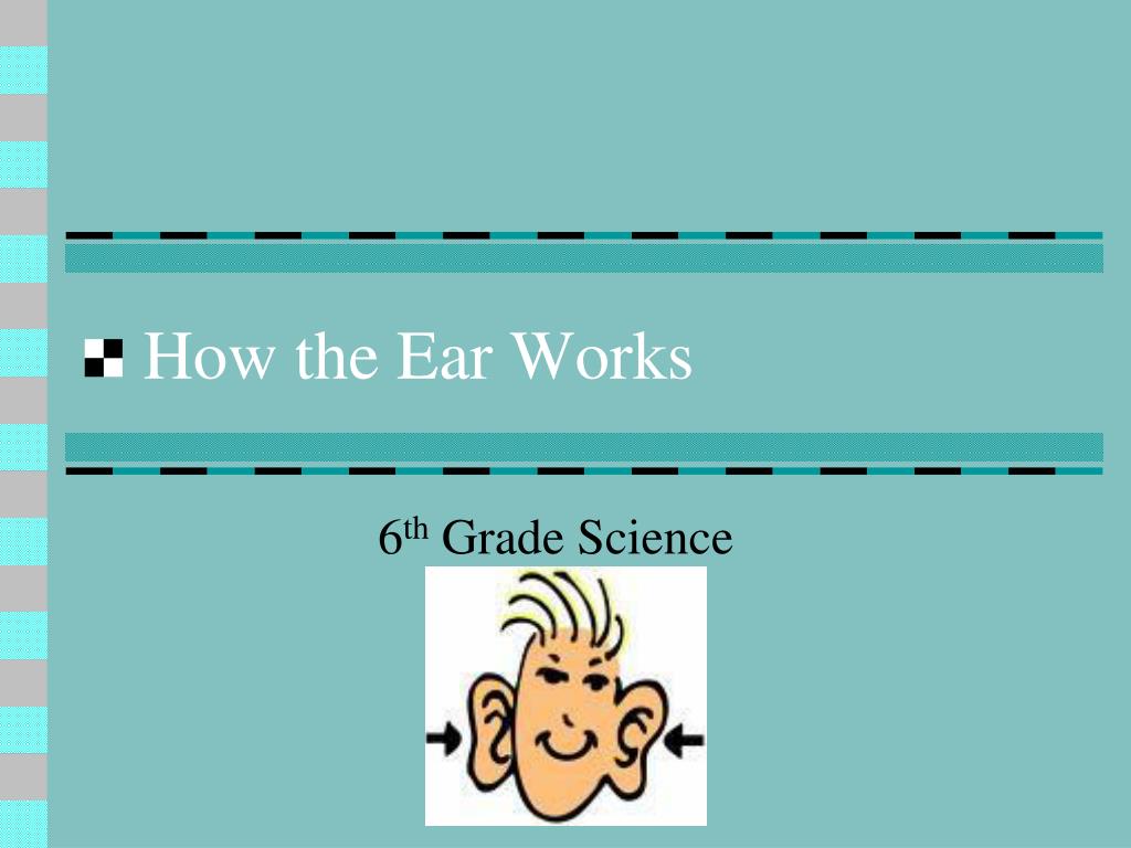 PPT - How the Ear Works PowerPoint Presentation, free download - ID:5465527