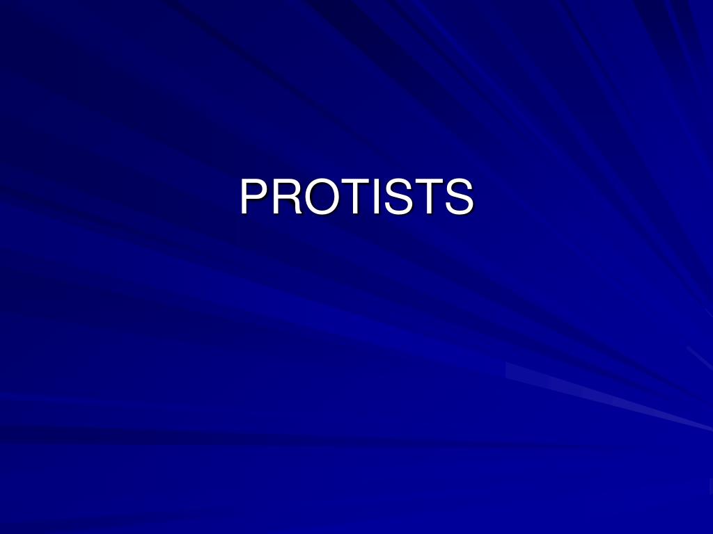 Ppt Protists Powerpoint Presentation Free Download Id 5466284