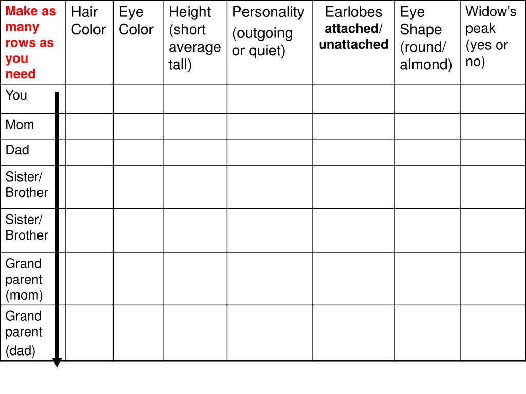 PPT - Family-Traits-Chart PowerPoint Presentation, free download - ID ...