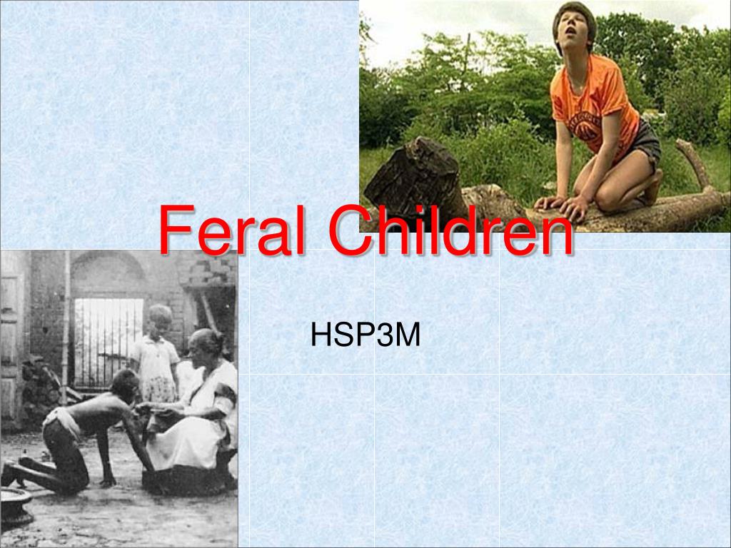 PPT - Feral Children PowerPoint Presentation, free download - ID:5471043