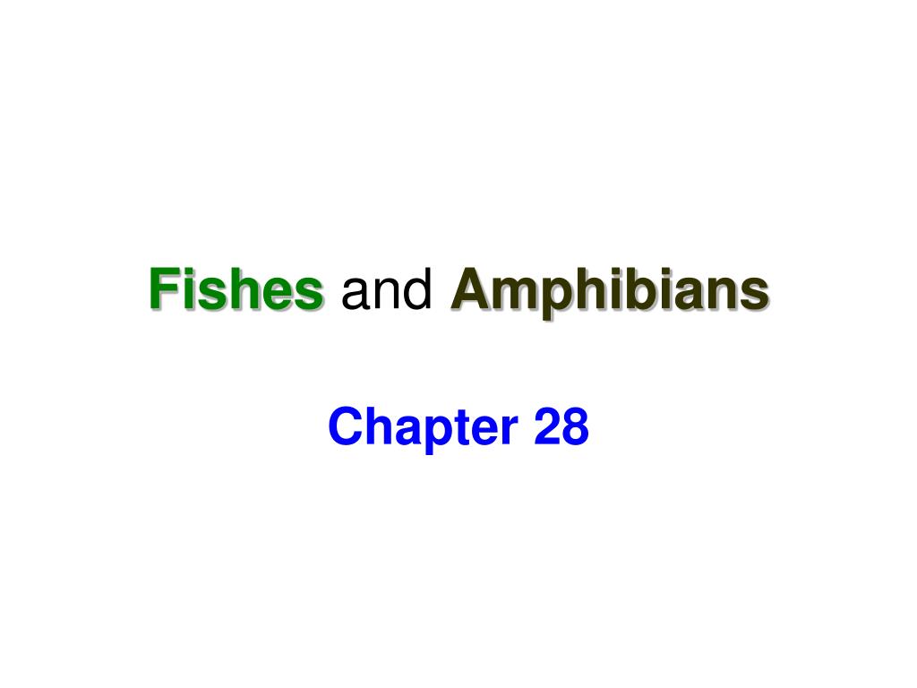 PPT - Fishes and Amphibians PowerPoint Presentation, free download - ID ...