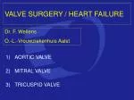 PPT - Heart Valve Replacement Surgery Procedure PowerPoint Presentation ...