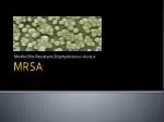 PPT - MRSA PowerPoint Presentation, free download - ID:1182214