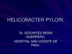 PPT - Helicobacter pylori PowerPoint Presentation, free download - ID ...