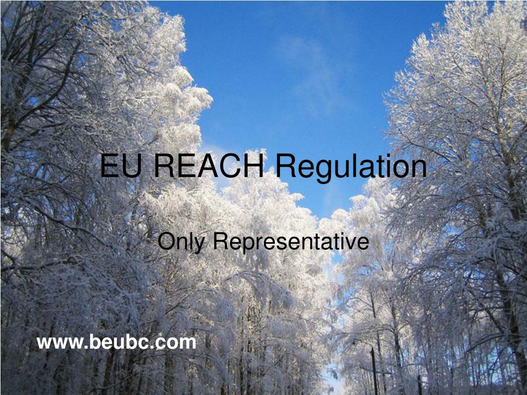 PPT - EU REACH Regulation PowerPoint Presentation, free download - ID ...