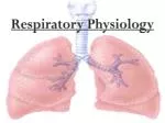 PPT - Respiratory Physiology PowerPoint Presentation, free download ...
