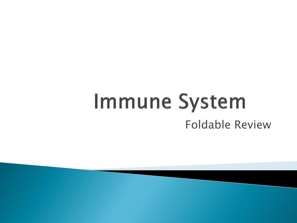 PPT - Immune System PowerPoint Presentation, free download - ID:5480989
