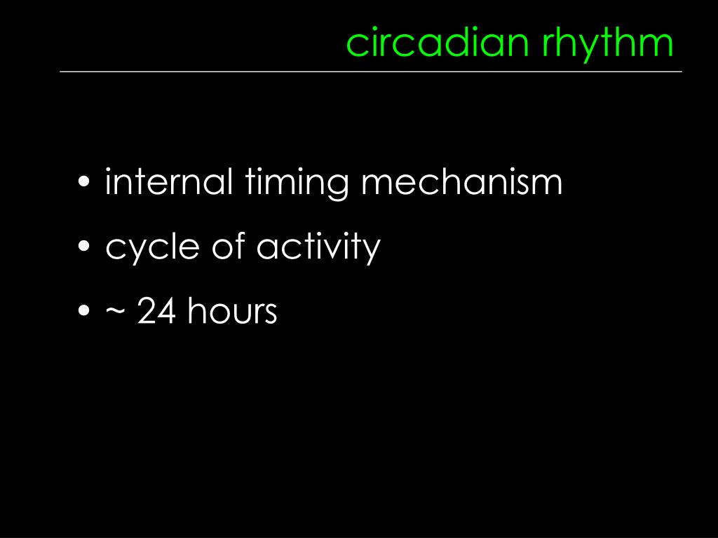 PPT - circadian rhythm PowerPoint Presentation, free download - ID:5483162