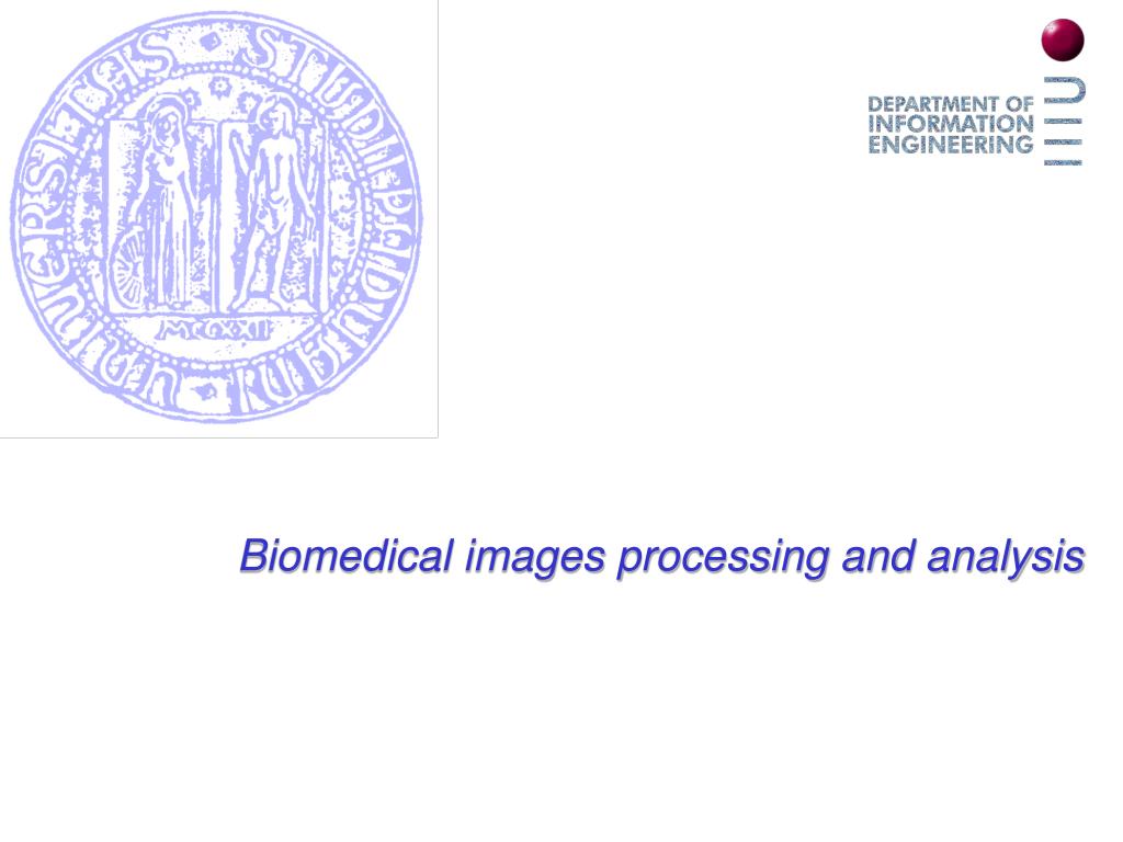 PPT - Biomedical images processing and analysis PowerPoint Presentation ...