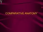 PPT - Comparative Anatomy Integument PowerPoint Presentation, free ...