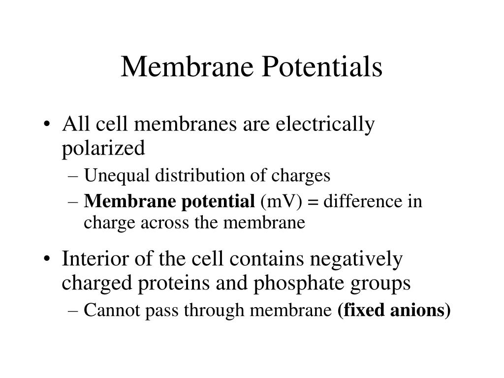 PPT - Membrane Potentials PowerPoint Presentation, free download - ID ...