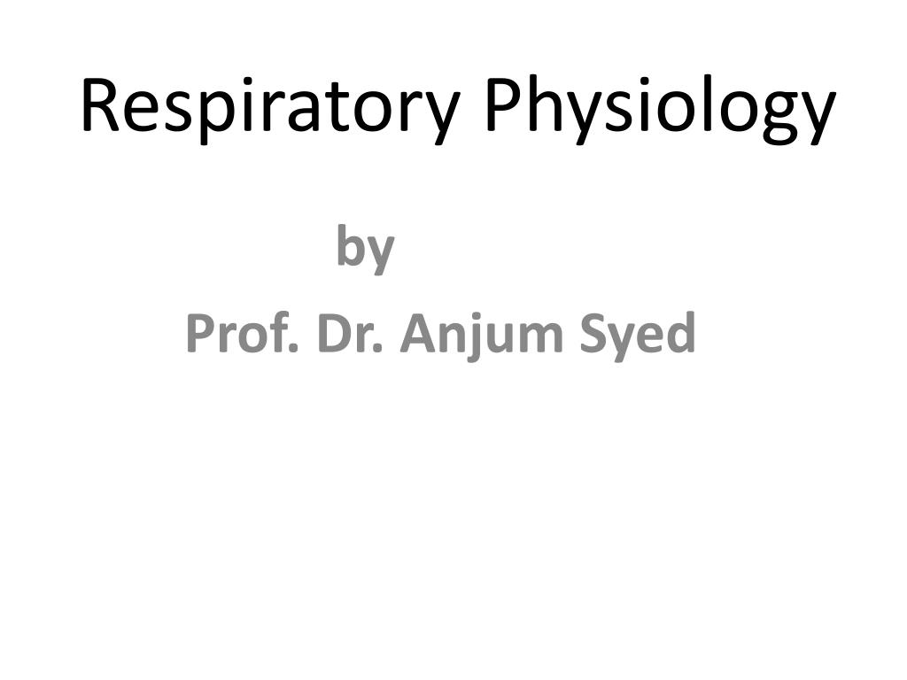 PPT - Respiratory Physiology PowerPoint Presentation, free download ...