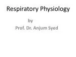 PPT - Respiratory Physiology PowerPoint Presentation, free download ...